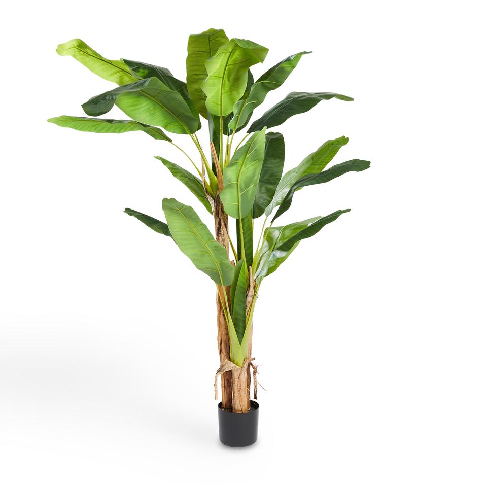 Bananier artificiel très réaliste à petit prix | Webshop Action BE