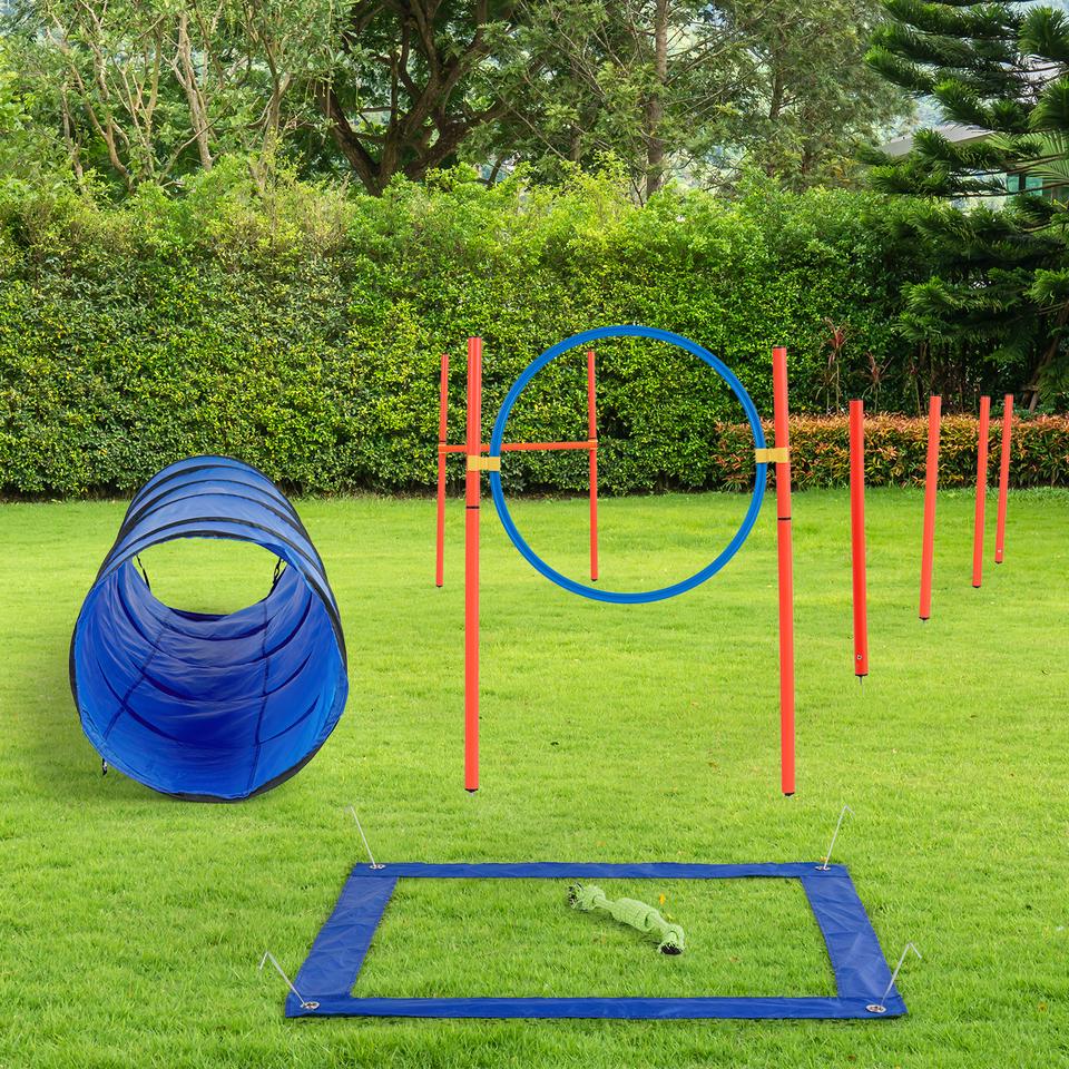 Dog training set - 6-piece - at a low price | Action Webshop NL